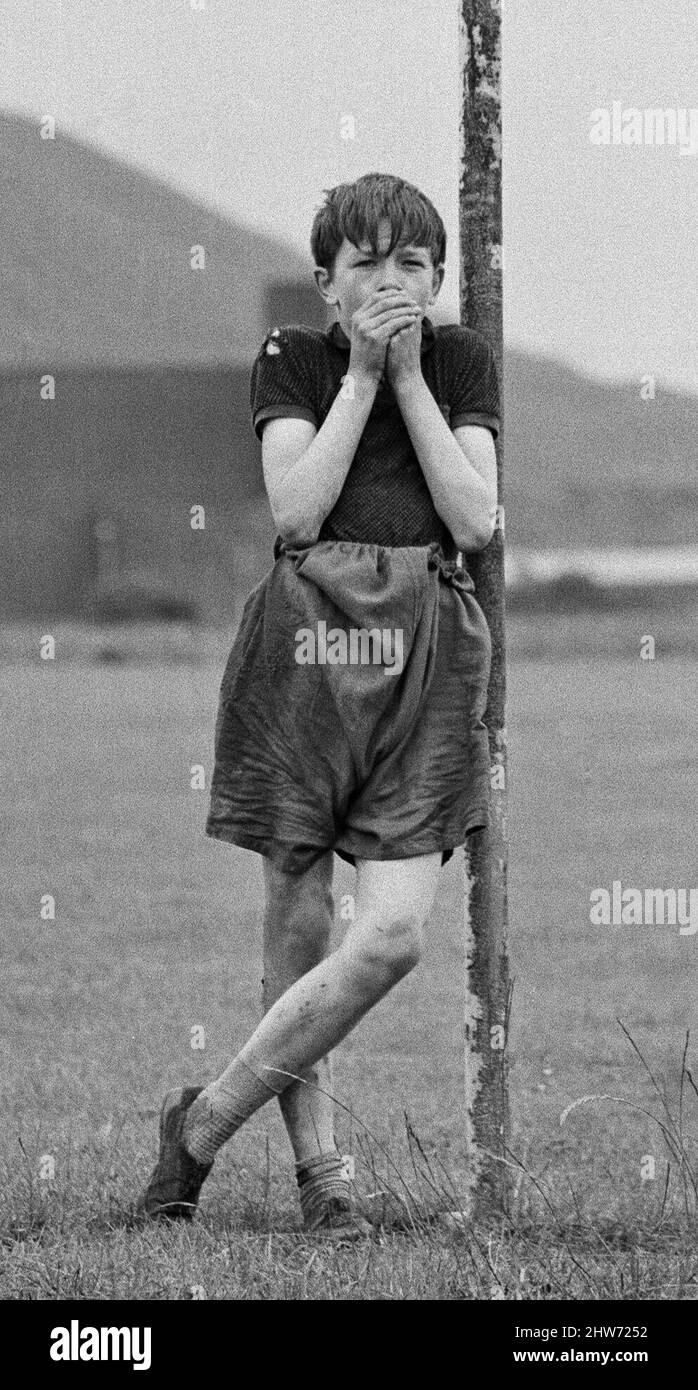 David Bradley, (aged 14) playing the part of Billy Casper, pictured ...