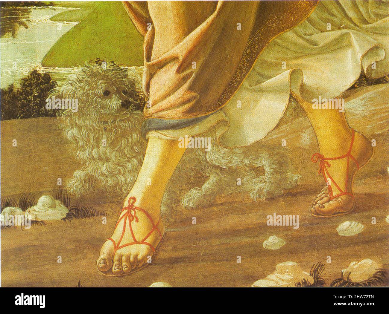 THE DOG FROM ANDREA DEL VERROCCHIO'S TOBIAS AND THE ANGEL Stock Photo ...