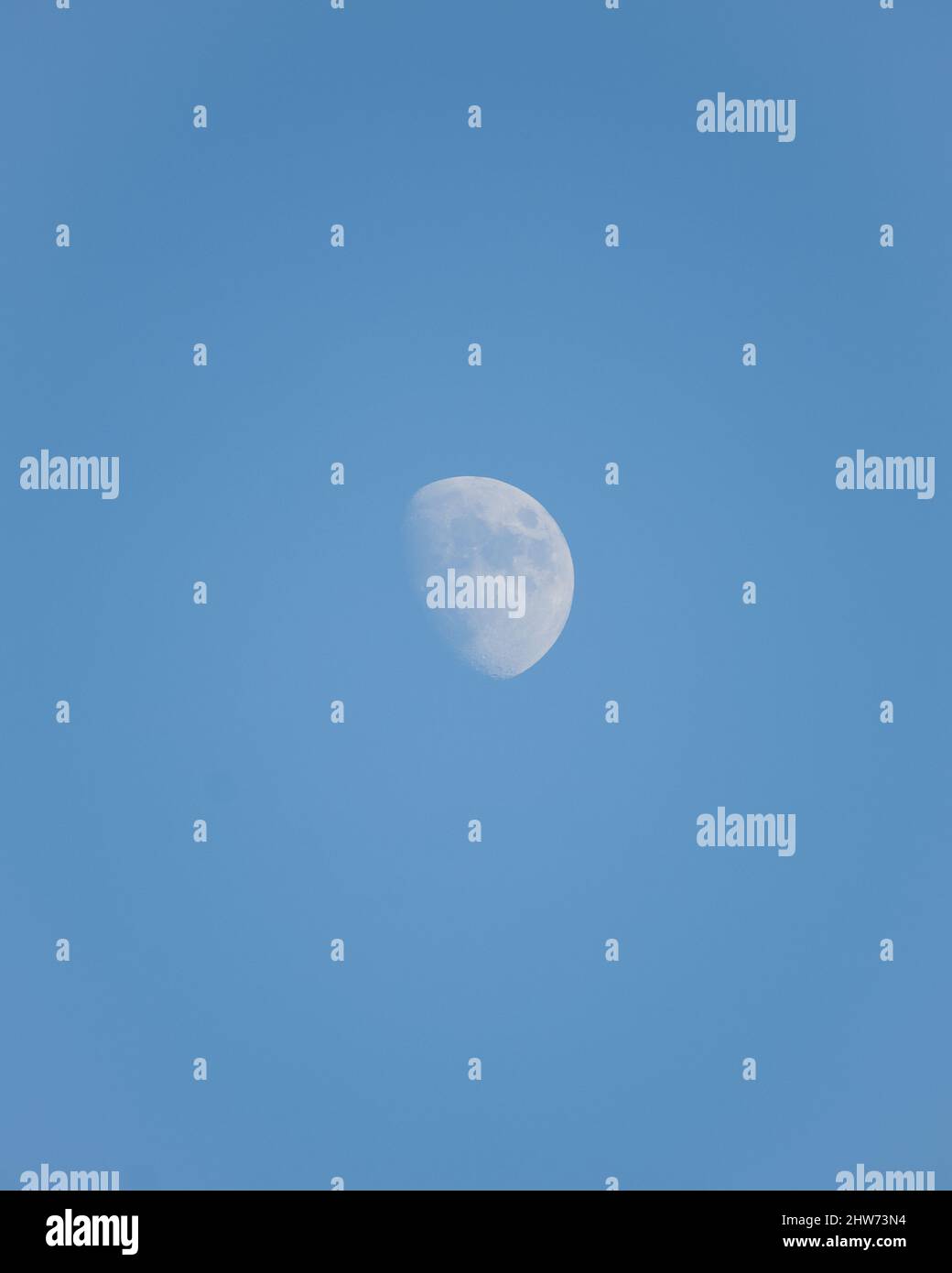 Beautiful view of the moon appearing in the sky in the evening Stock ...