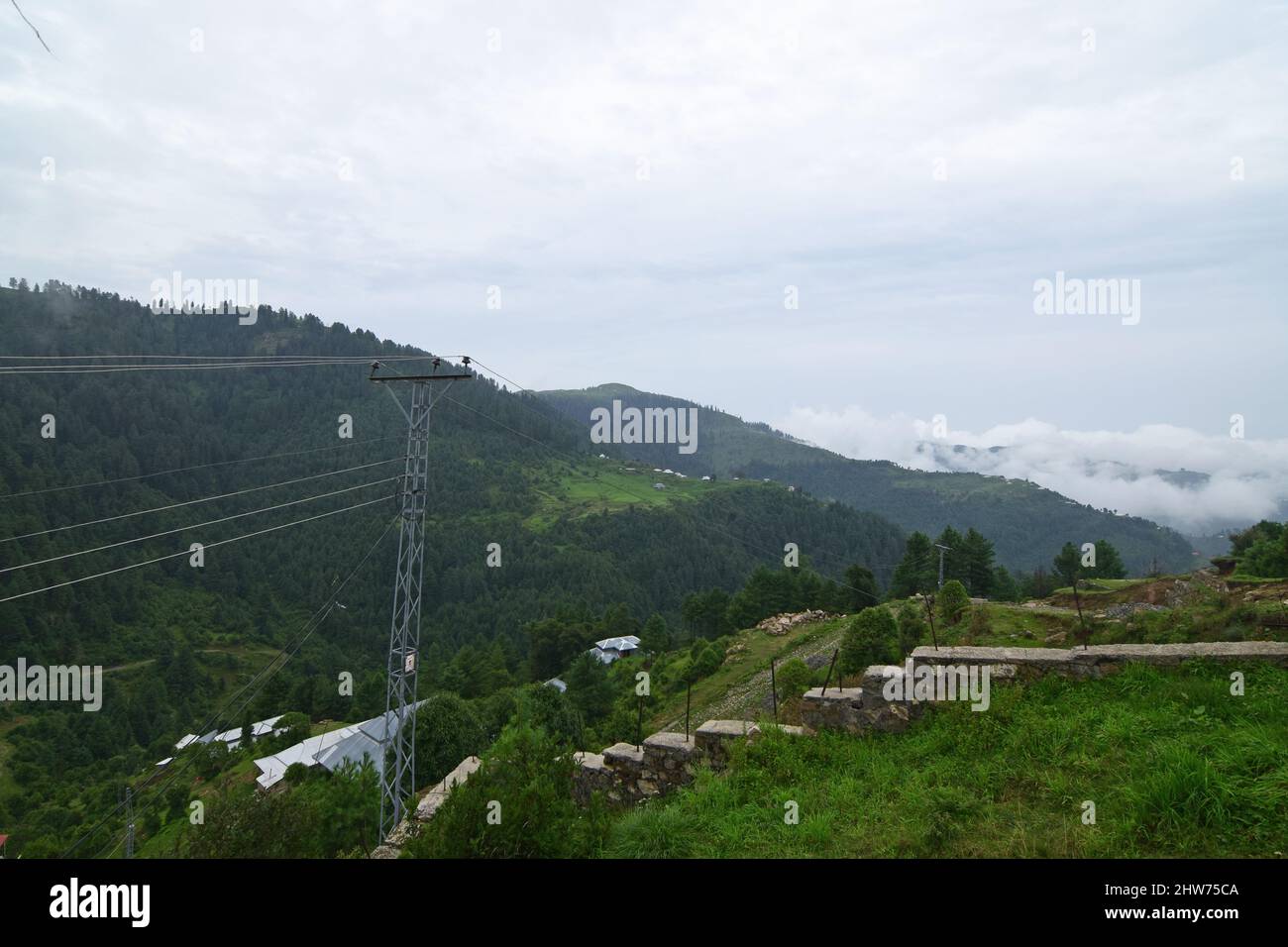 Tolipeer hi-res stock photography and images - Alamy