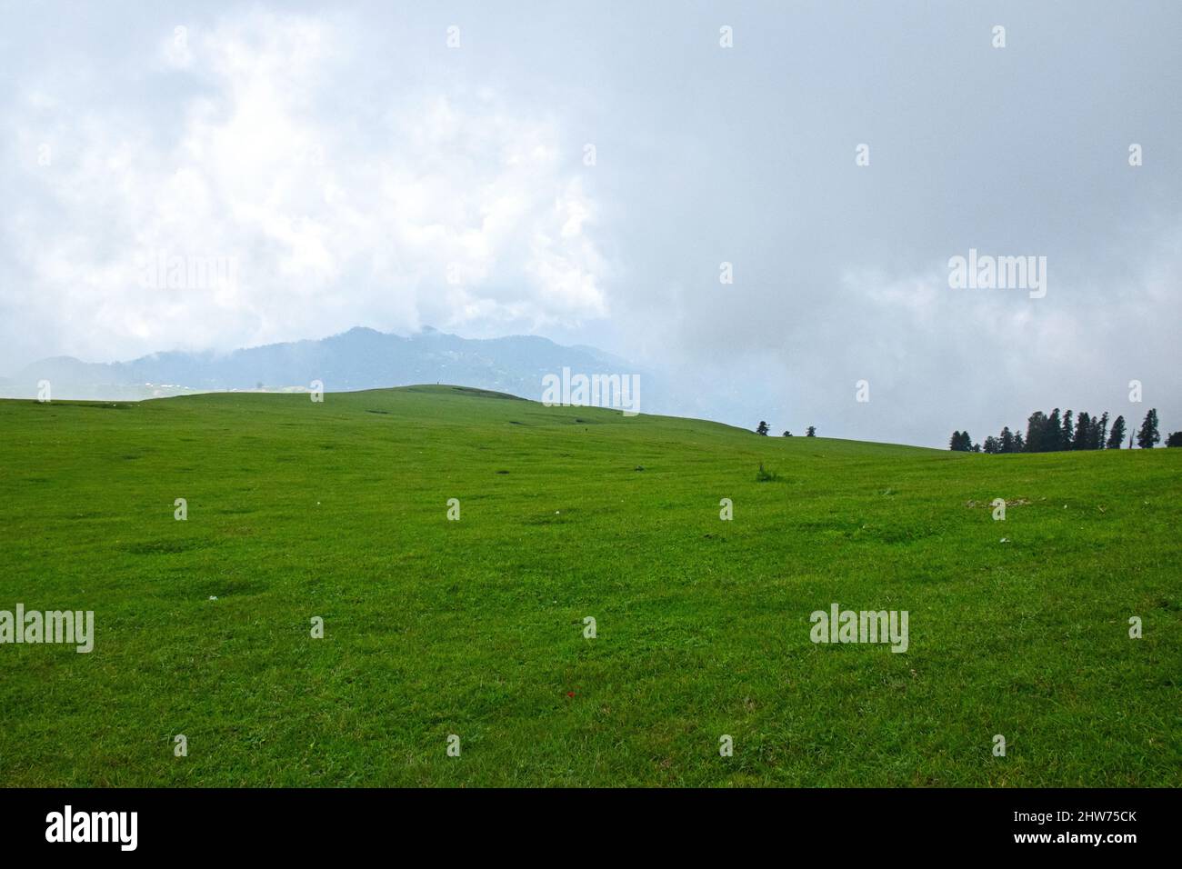 A scenic view of the green Tolipeer Meadows under the cloudy sky ...
