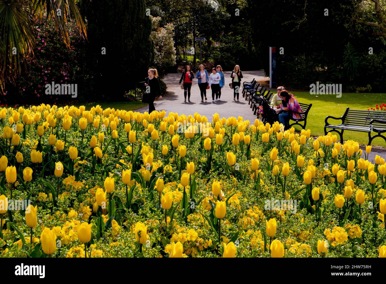 Stranmillis hi-res stock photography and images - Alamy