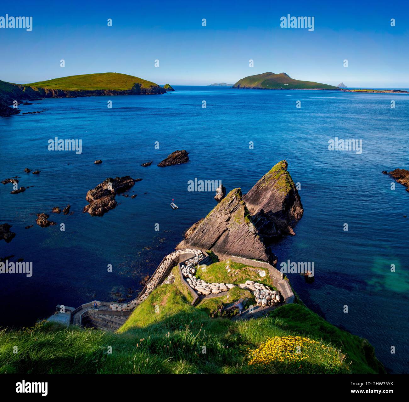 Dunquin sheep hi-res stock photography and images - Alamy
