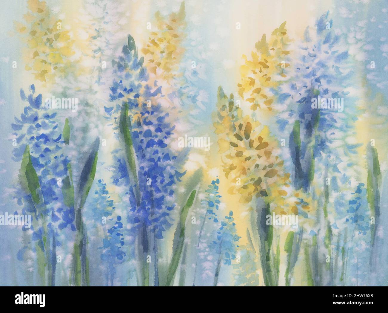Blue and yellow spring flowers watercolor background Stock Photo - Alamy