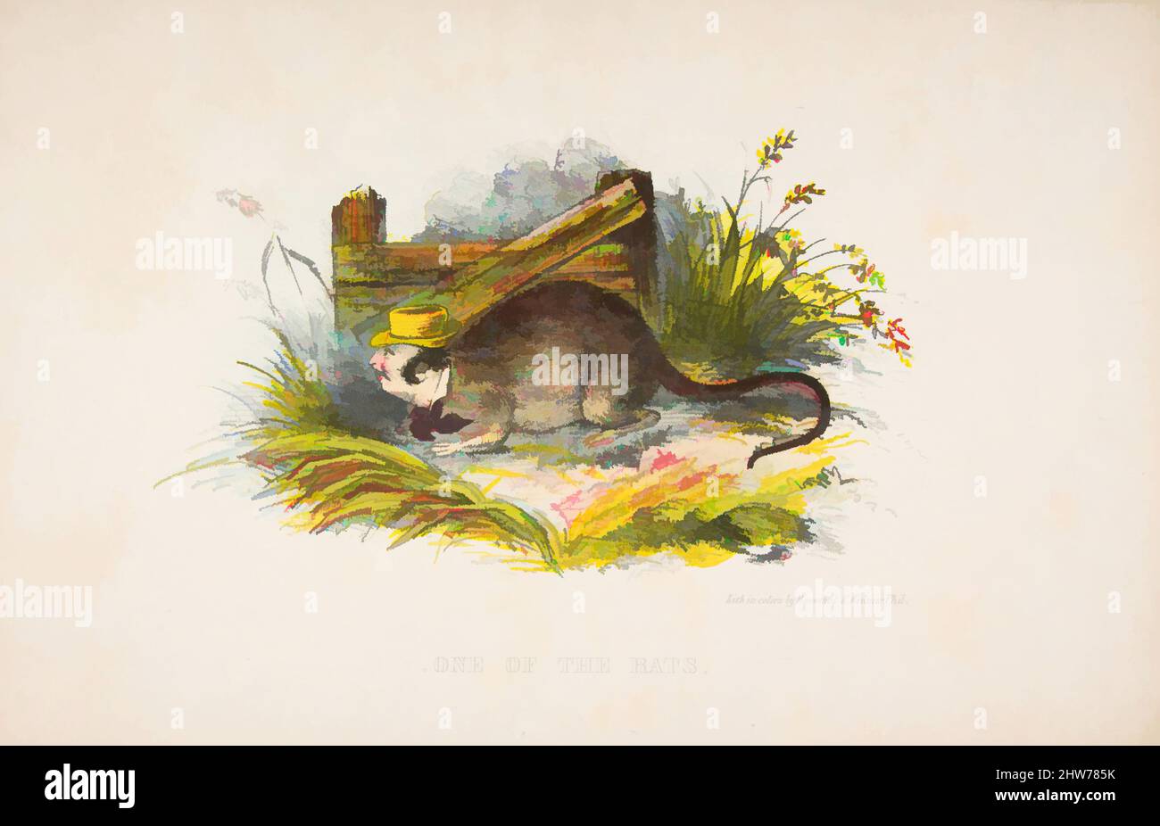 Art inspired by One of the Rats, from The Comic Natural History of the ...