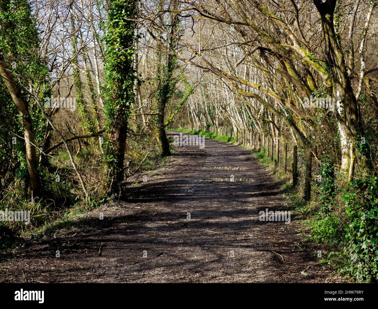 Pentewan Valley Trail, Cornwall, UK Stock Photo - Alamy