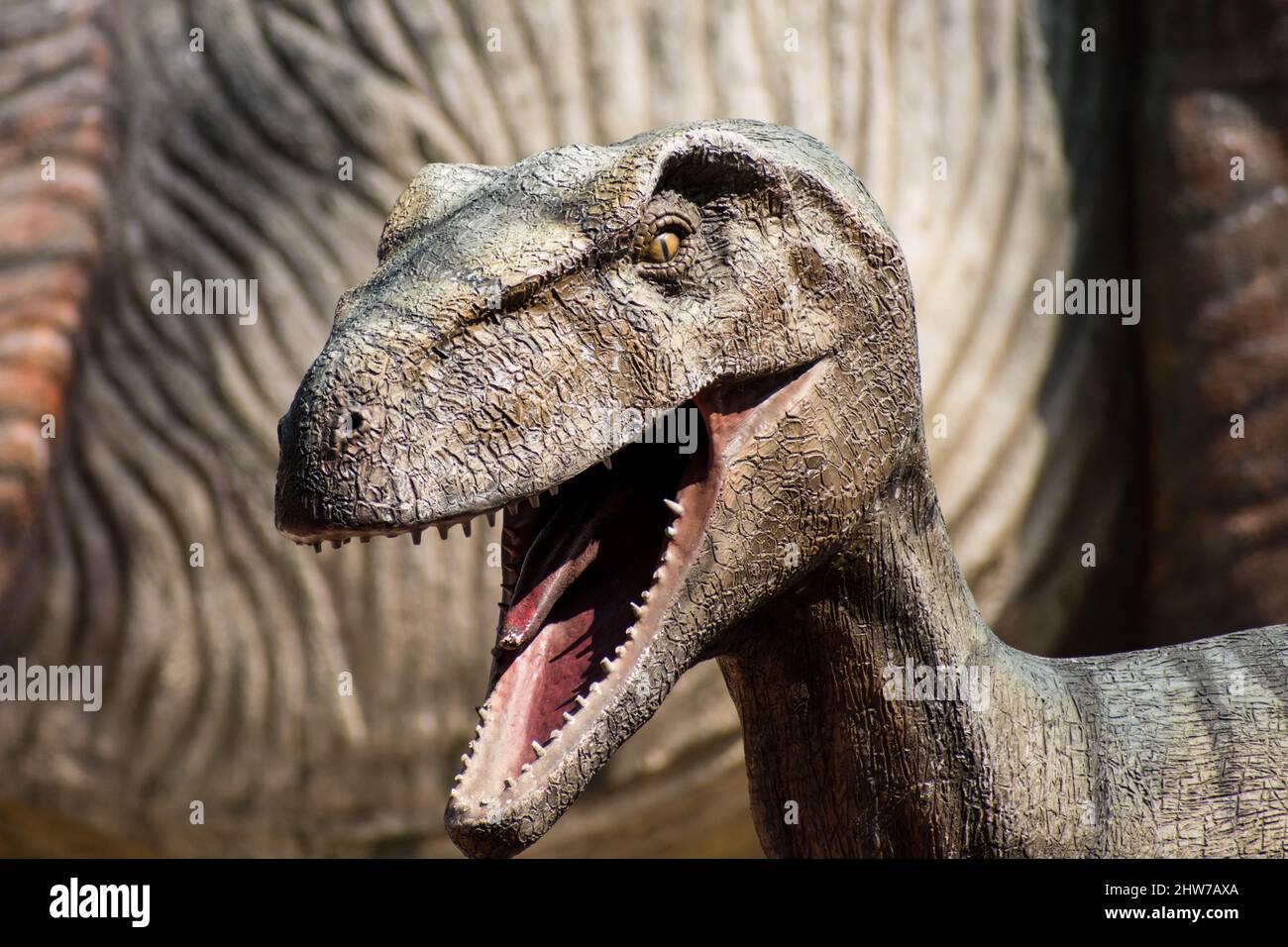 Velociraptor dinosaur statue with its mouth opened Stock Photo - Alamy