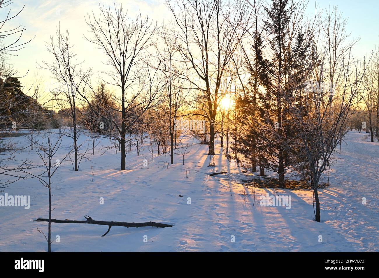 March morning in park hi-res stock photography and images - Alamy