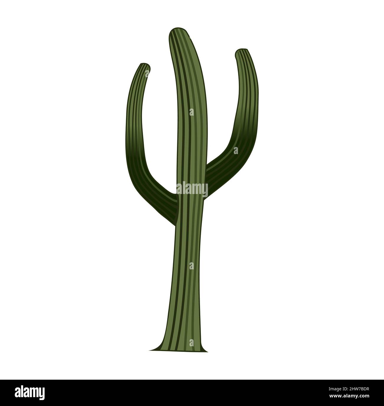 Saguaro Cactus Clipart