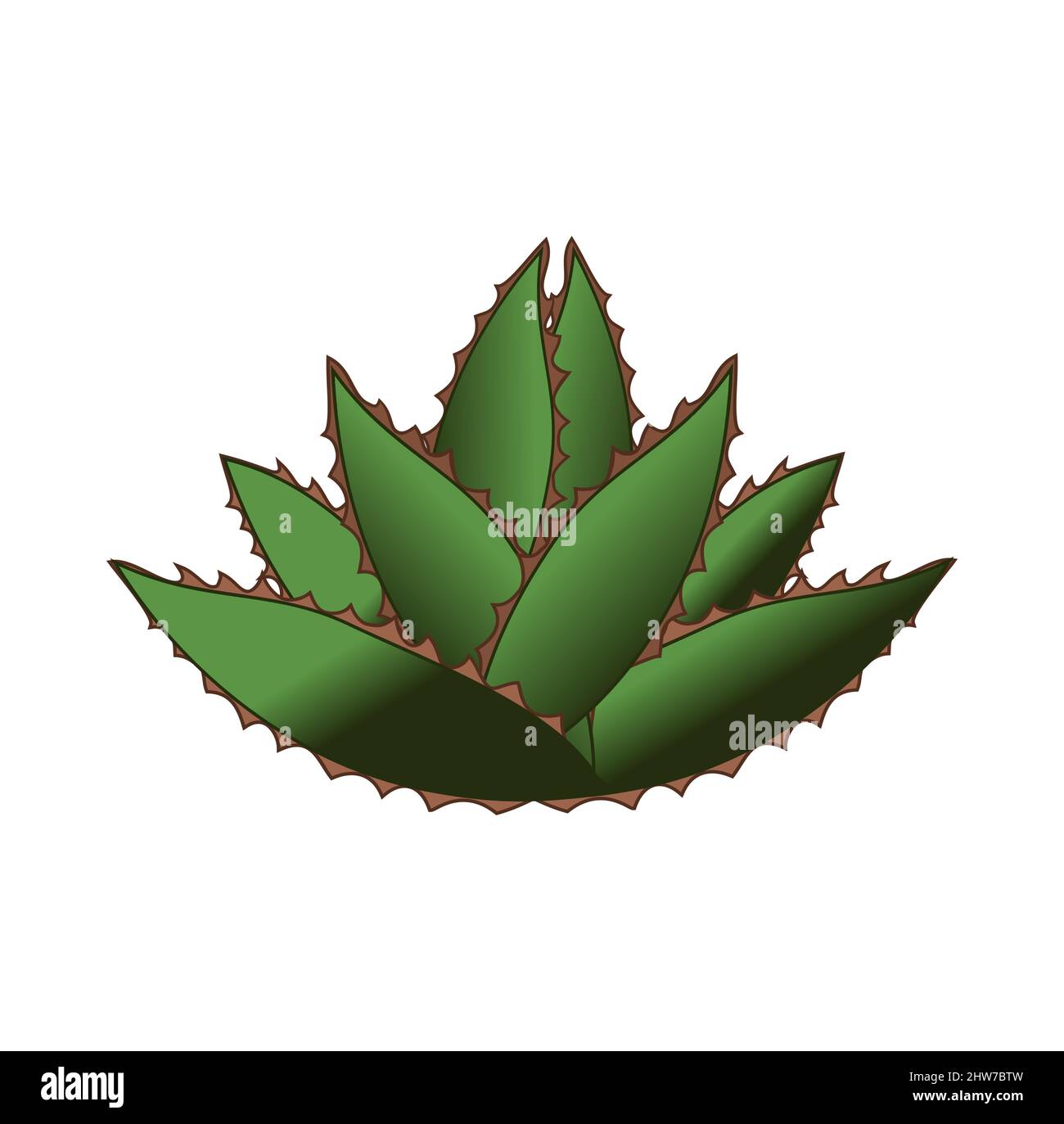 Agave Cactus cartoon design illustration vector eps format , suitable ...