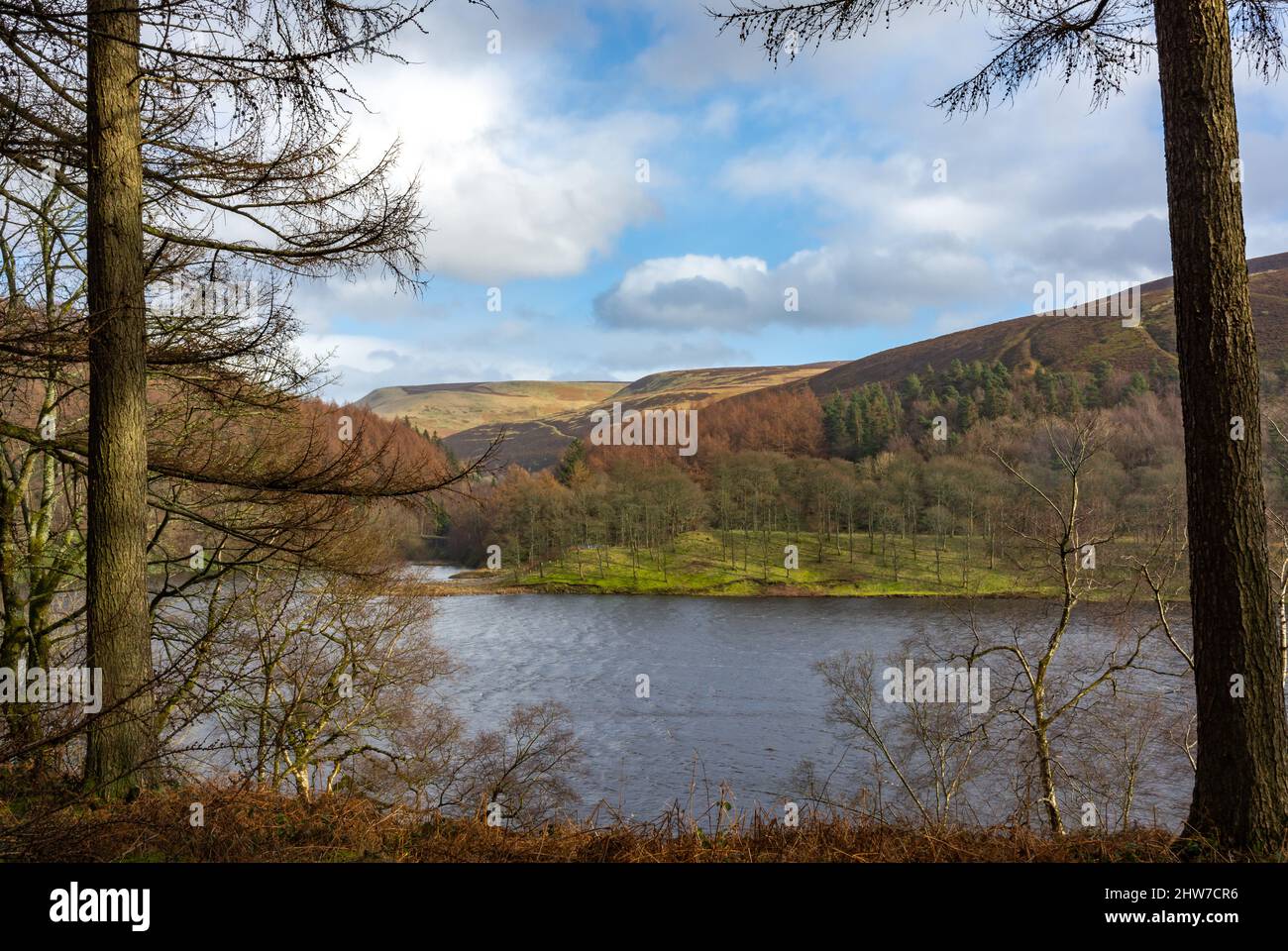 The Upper Derwent Valley Derbyshire Stock Photo - Alamy