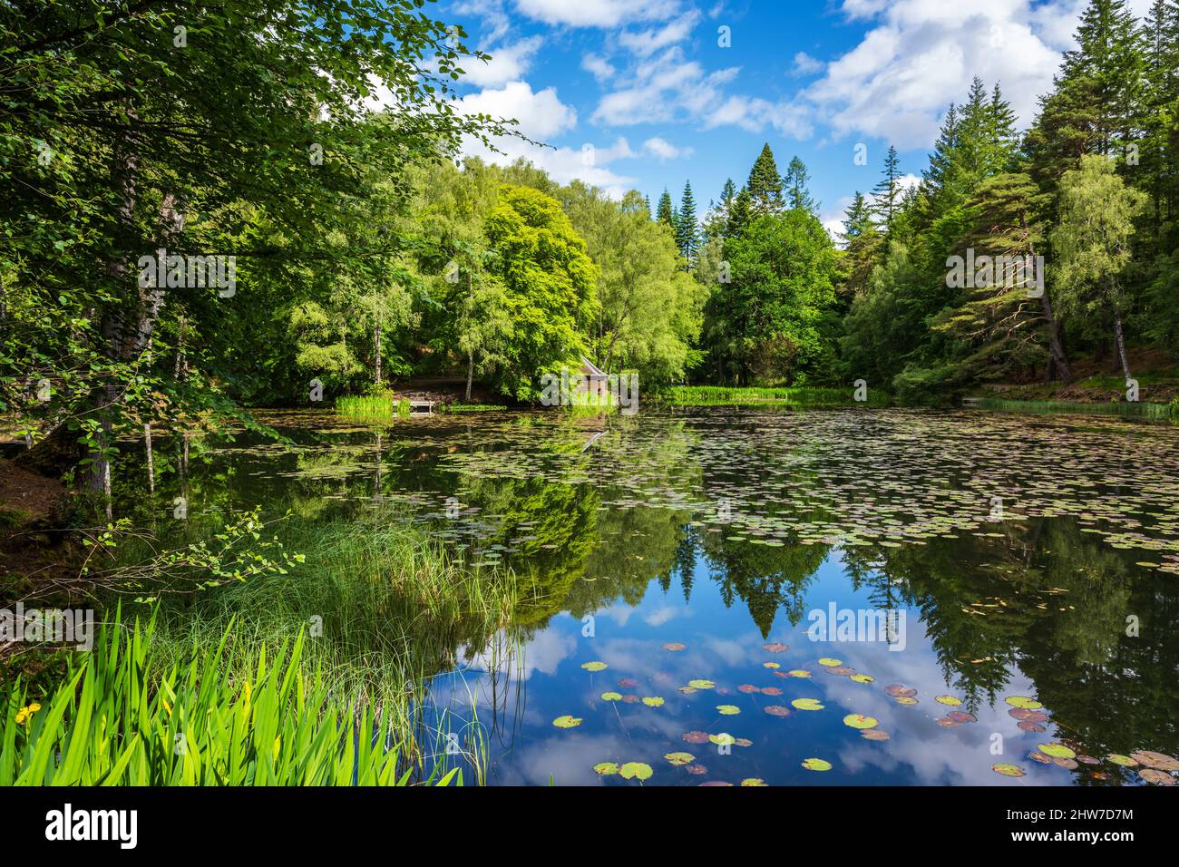 Loch dunmore water lilies hi-res stock photography and images - Alamy