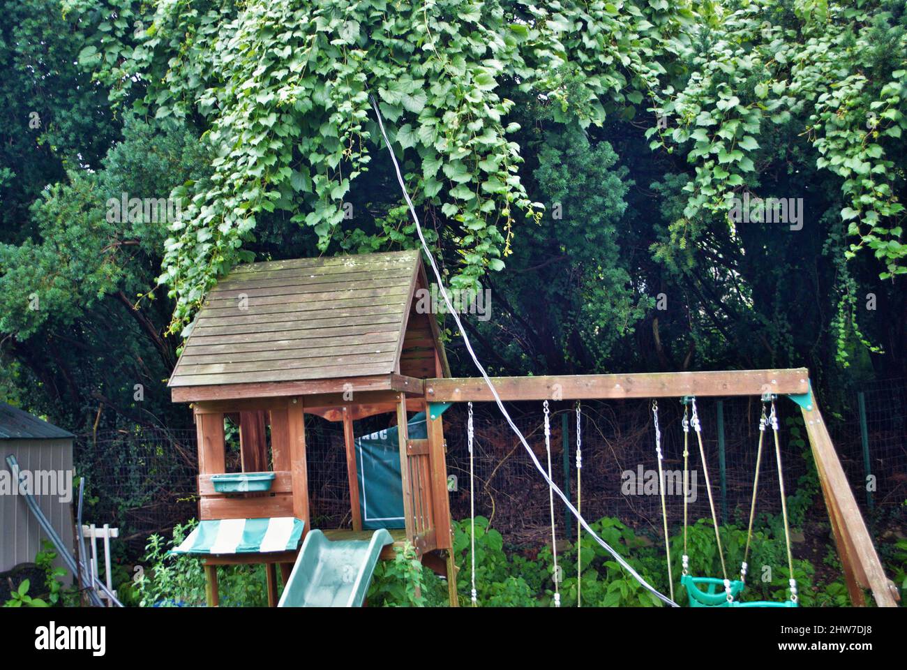 Dangerous live downed power line draped across backyard playground ...