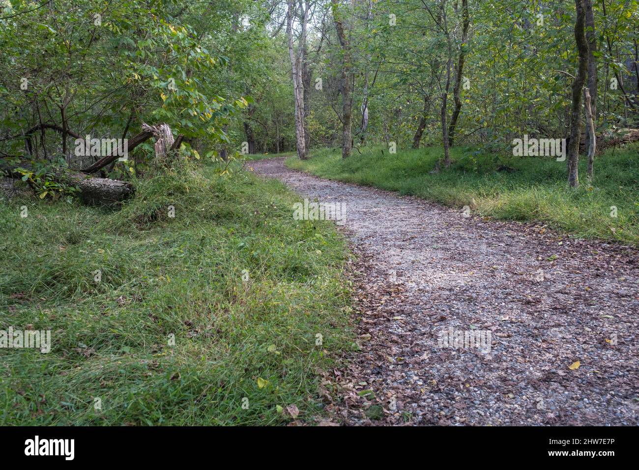 Virginia. Great Falls Park. Matildaville Trail Stock Photo - Alamy