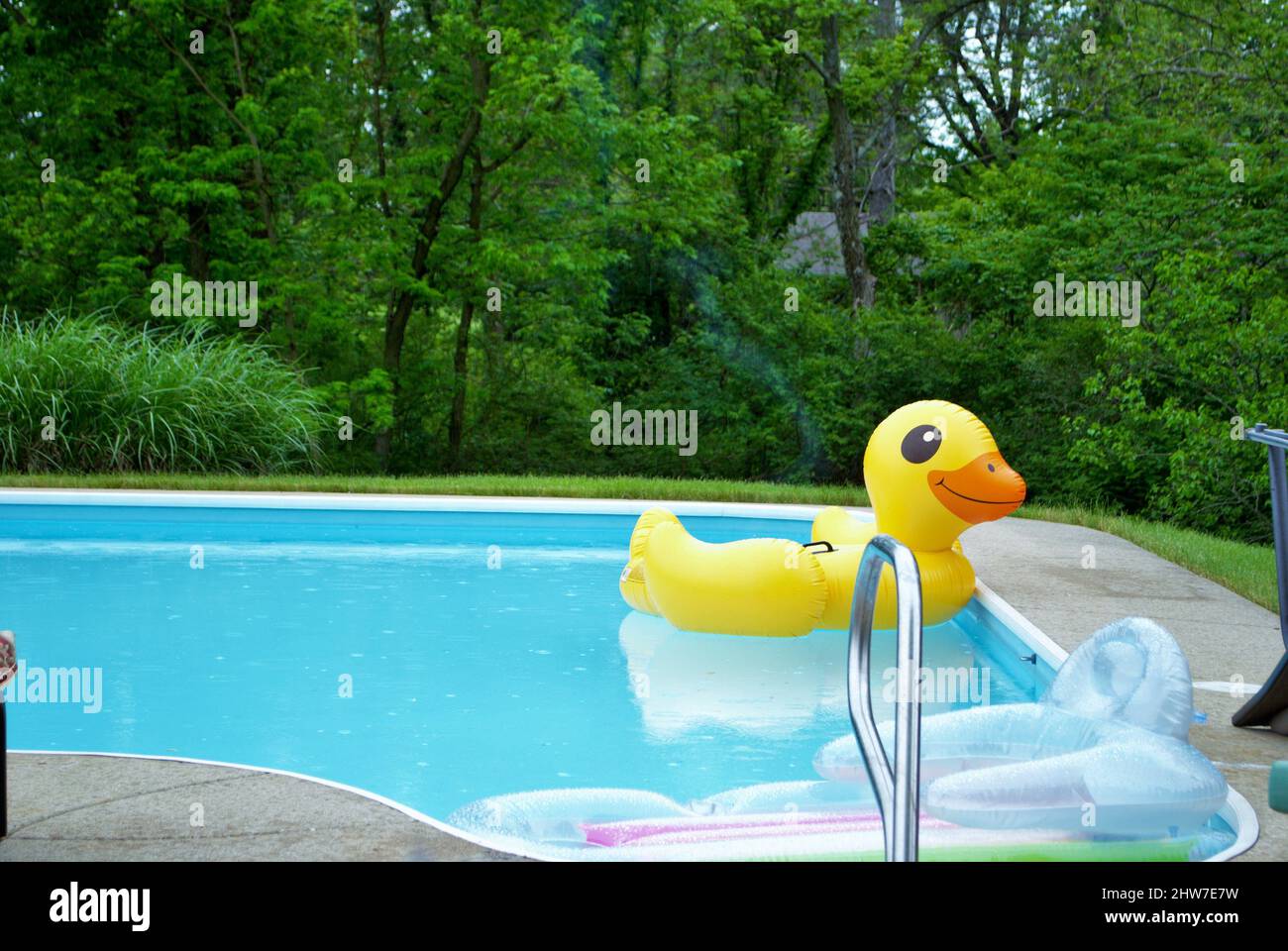 yellow duck inflatable floating in a backyard swimming pool Stock Photo ...