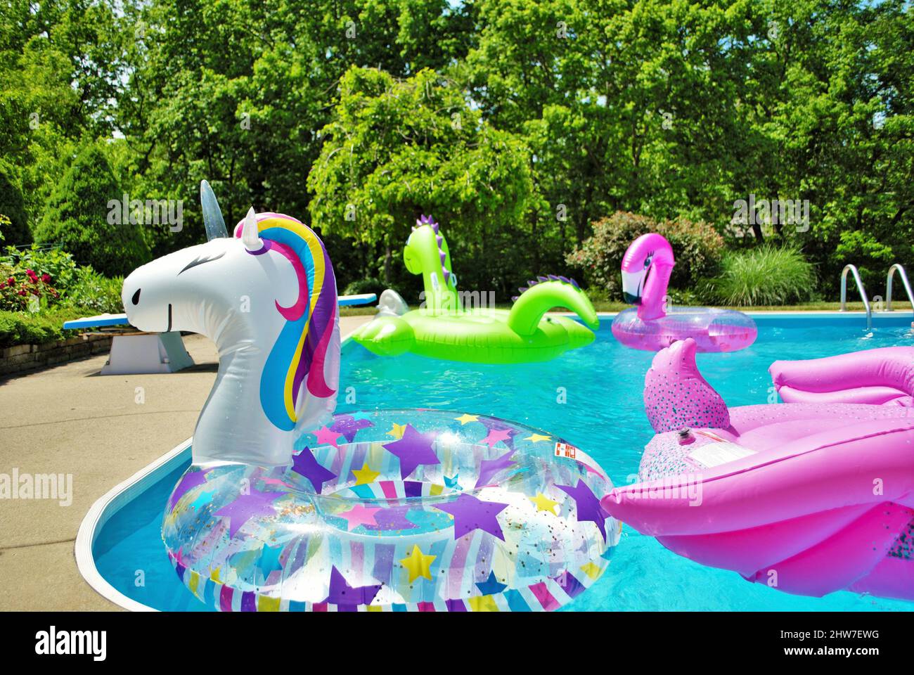 Inflatables in pool hi-res stock photography and images - Alamy