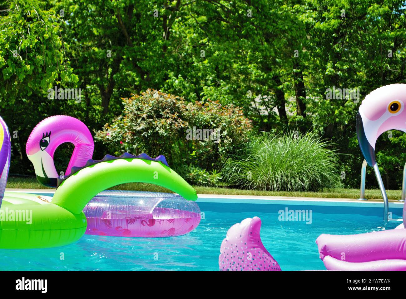 a lot of inflatables floating in a backyard swimming pool Stock Photo ...
