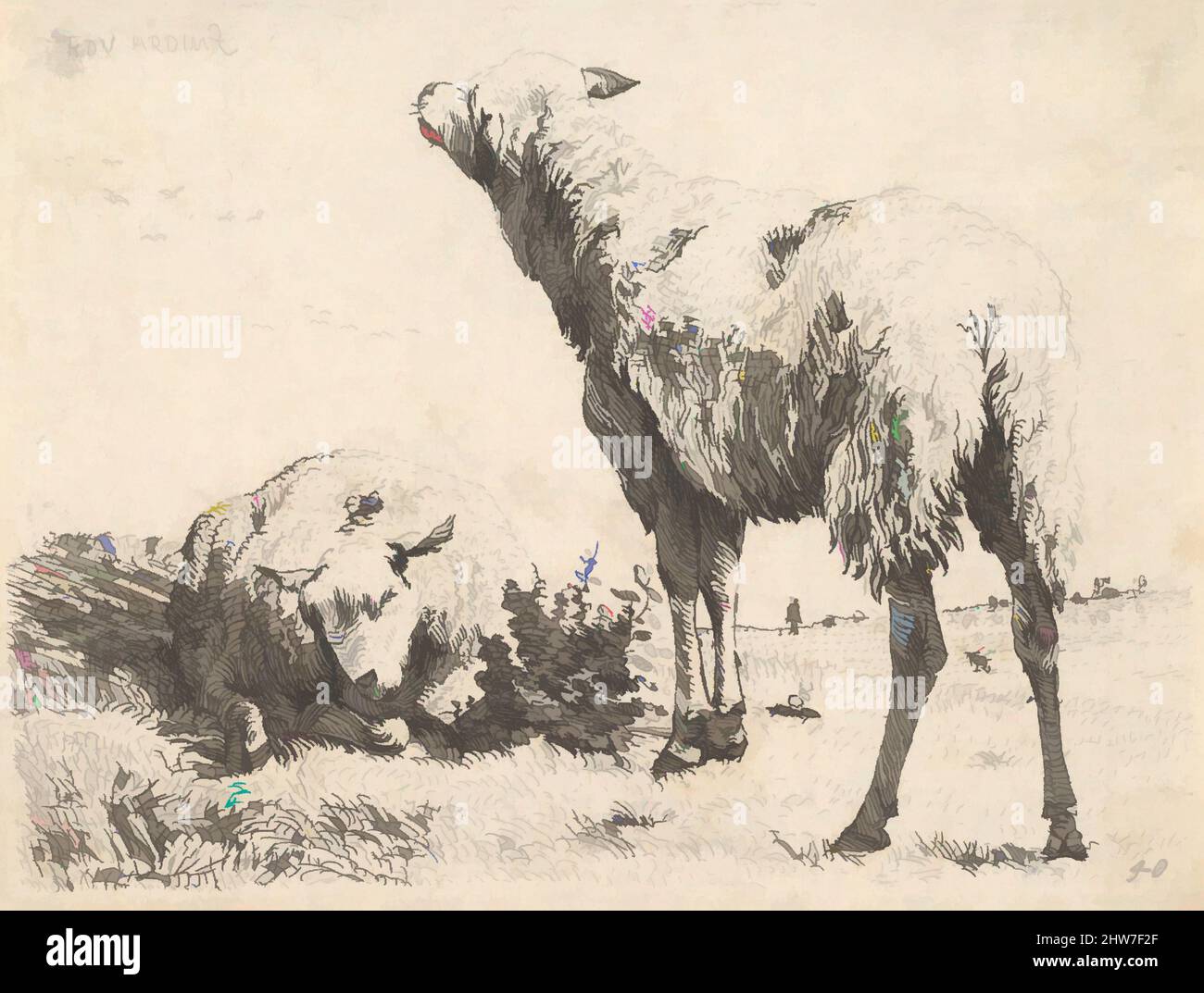 Art inspired by Two sheep, one shown frontally in a reclining position ...