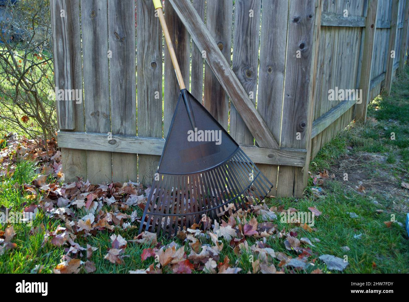 Pile of leaves and a rake leaning against a fence fall background Stock ...