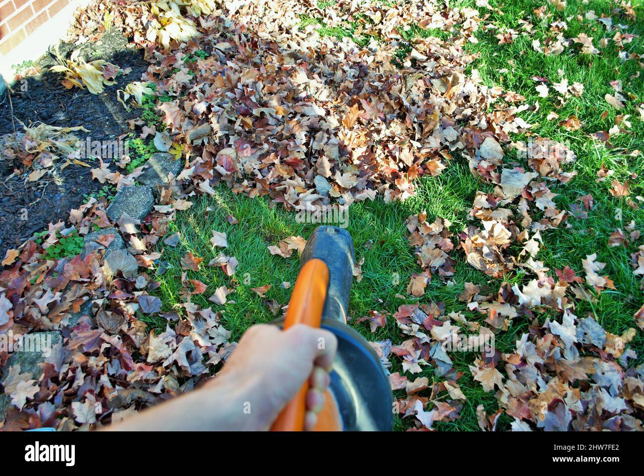 Green leaf blower hi-res stock photography and images - Alamy