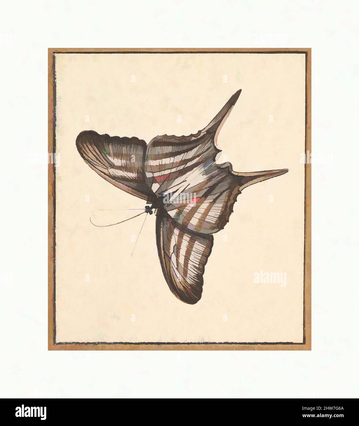Ink And Watercolor Butterfly Art