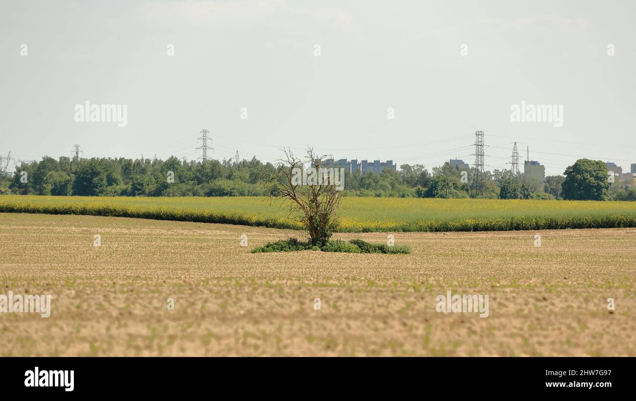 Early suburban areas hi-res stock photography and images - Alamy