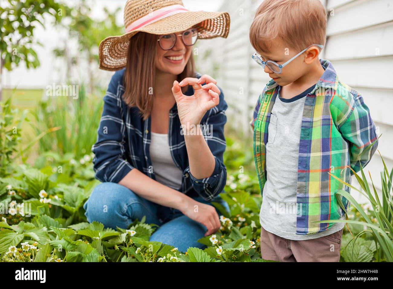 Child and mother gardening in strawberry plant garden in backyard Stock ...