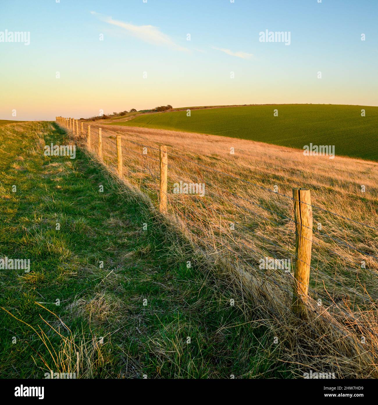 Fence perspective hi-res stock photography and images - Alamy