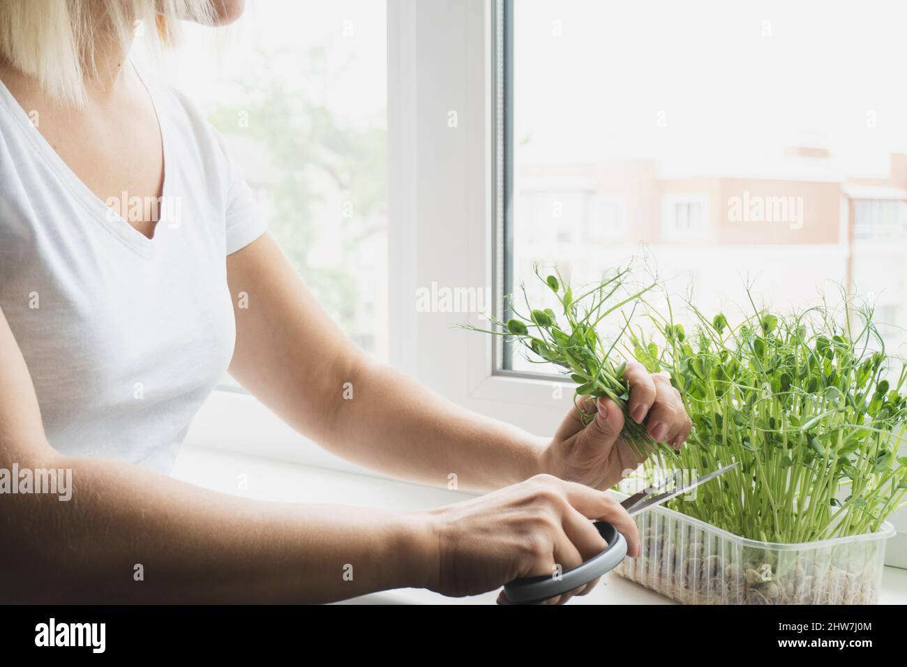 Cutting the greens hi-res stock photography and images - Alamy
