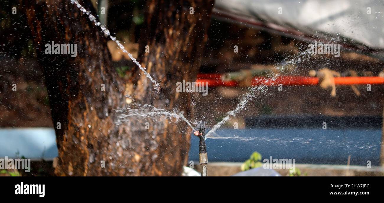 Water sprayer Water is sprayed. On blurred backgrounds Stock Photo - Alamy