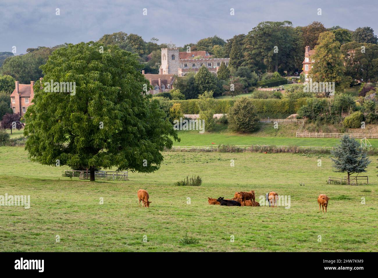 Ewelme village hi-res stock photography and images - Alamy
