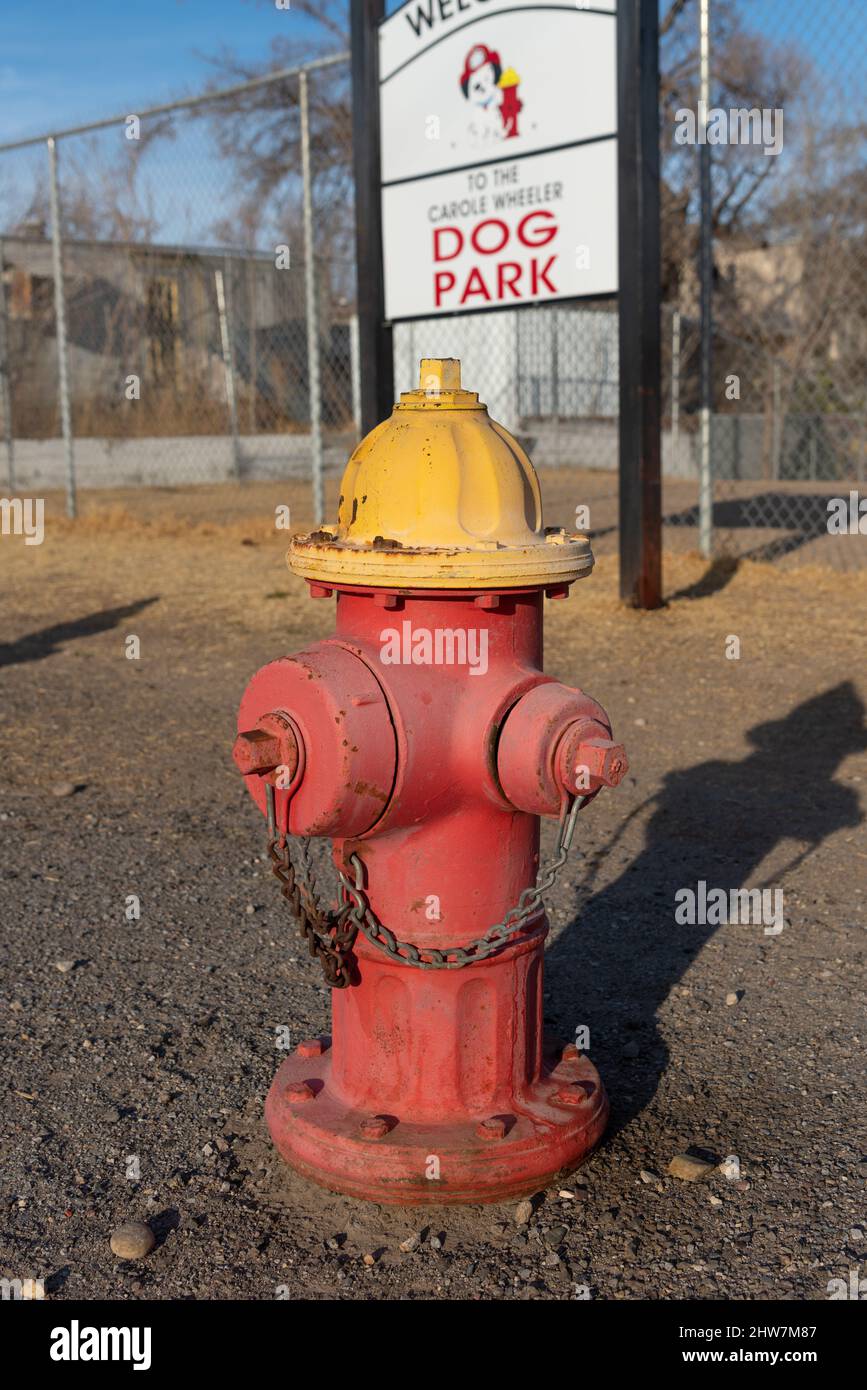 A red and yellow fire hydrant for dogs in front of the Carole Wheeler ...