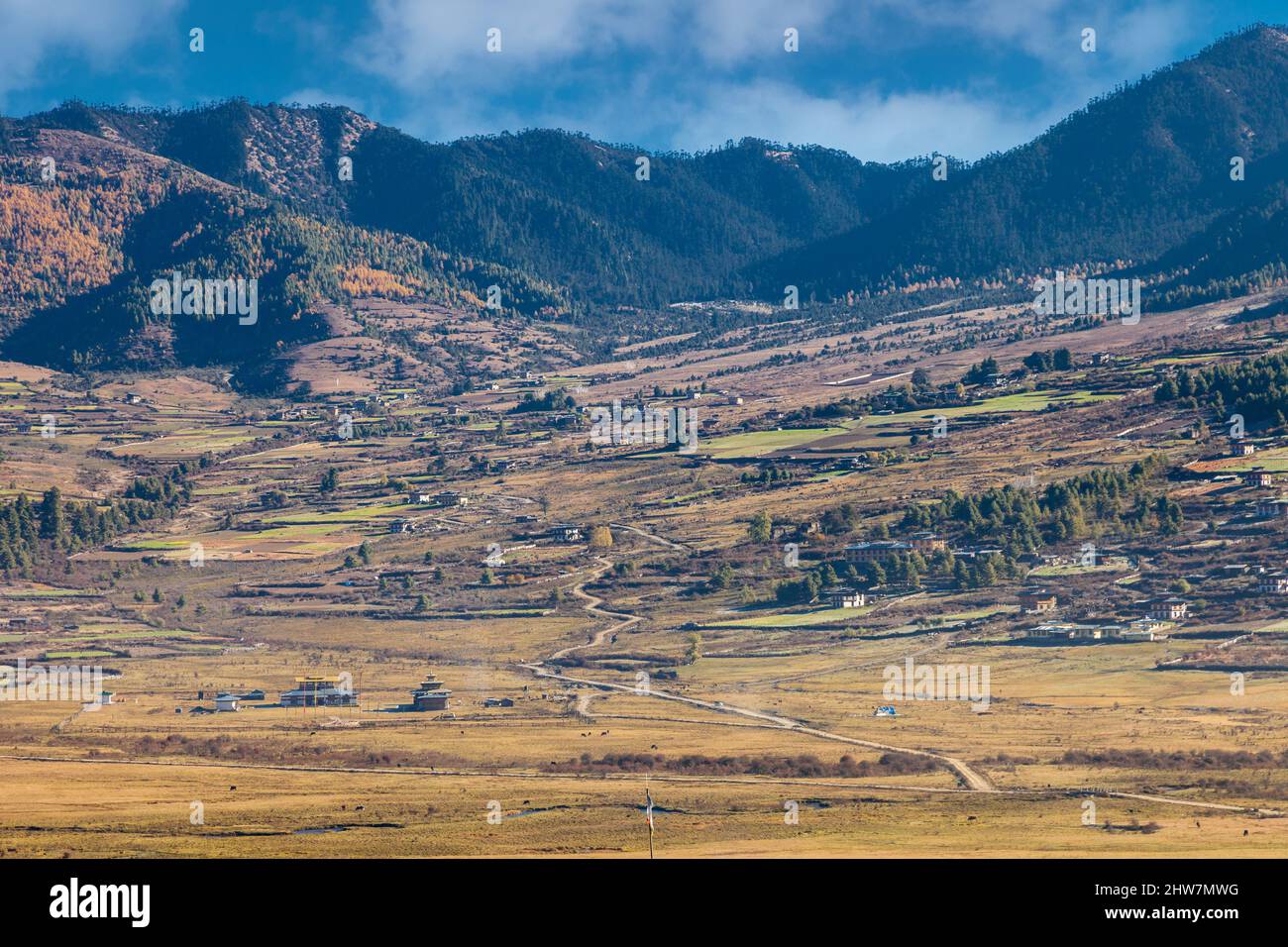 Phobjikha, Bhutan. Valley Scenes, Farmland and Settlements Stock Photo ...