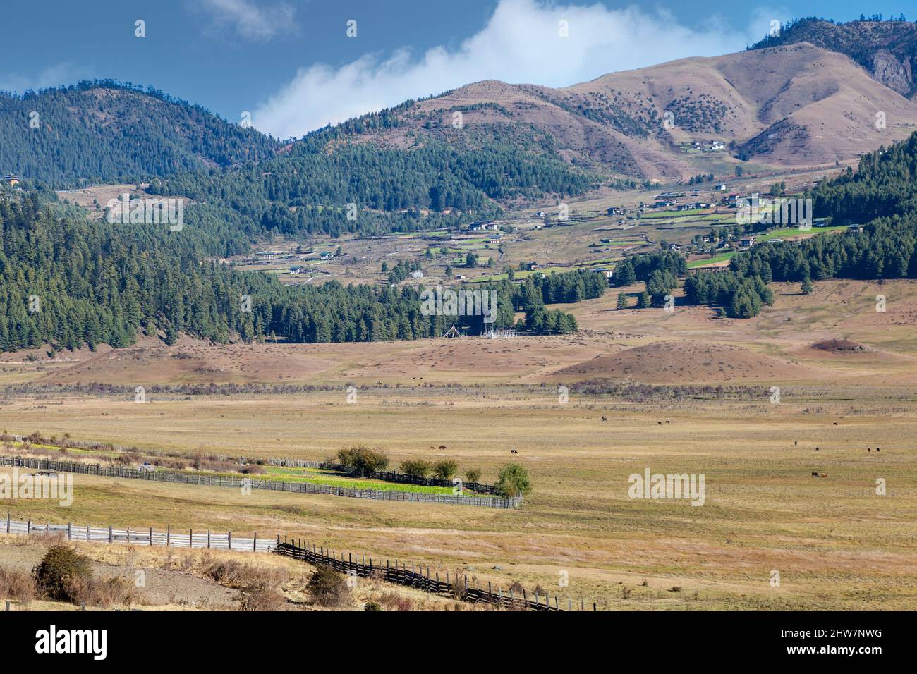 Phobjikha, Bhutan. Valley Scenes, Farmland and Settlements Stock Photo ...