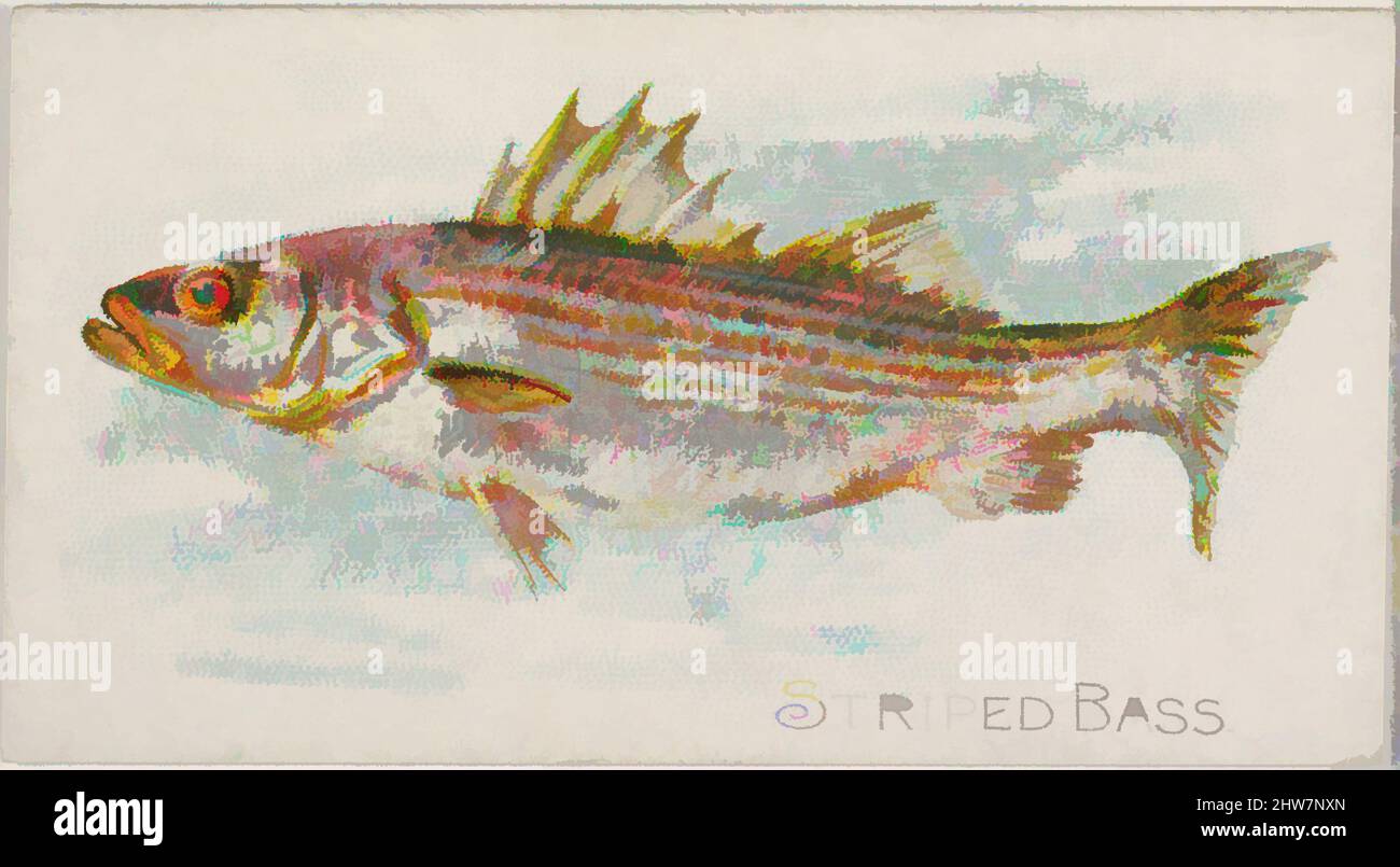 Art inspired by Striped Bass, from the Fish from American Waters series ...