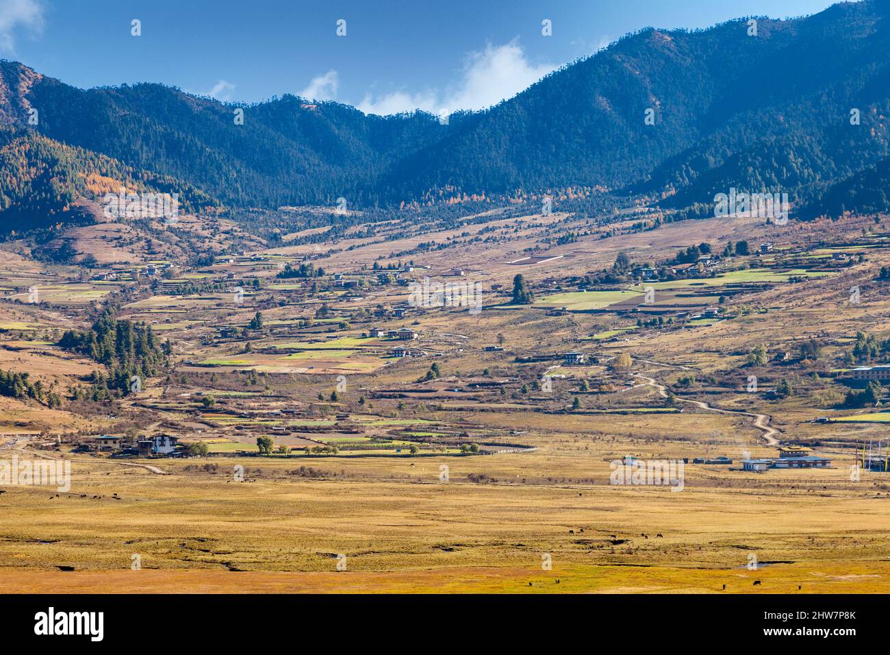 Phobjikha, Bhutan. Valley Scenes, Farmland and Settlements Stock Photo ...