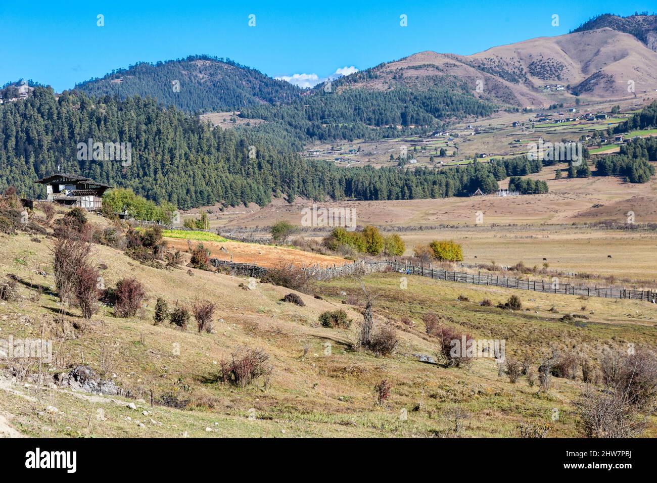 Phobjikha, Bhutan. Valley Scenes, Farmland and Settlements Stock Photo ...