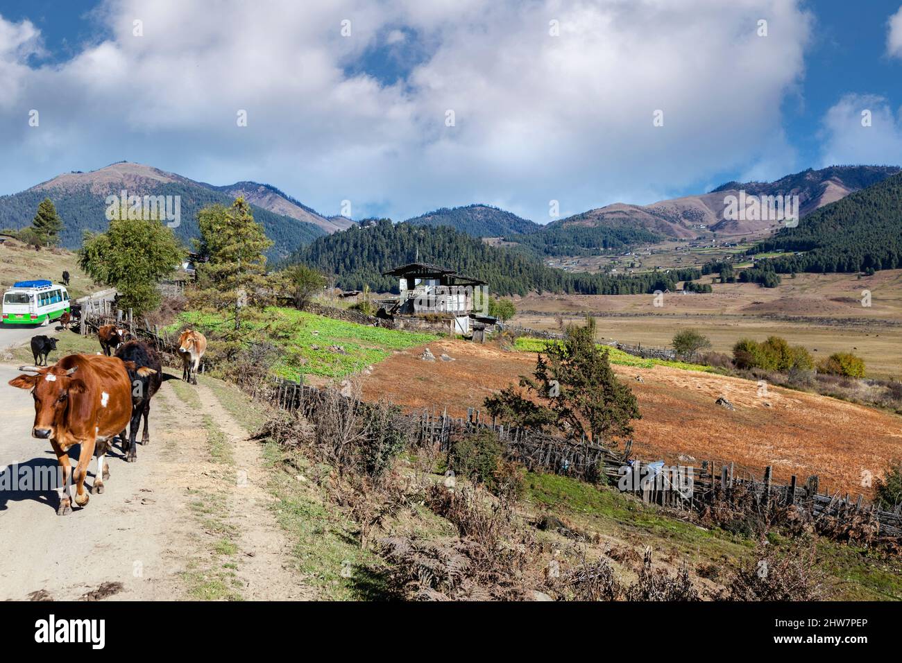 Phobjikha, Bhutan. Valley Scenes, Farmland and Settlements. Typical ...