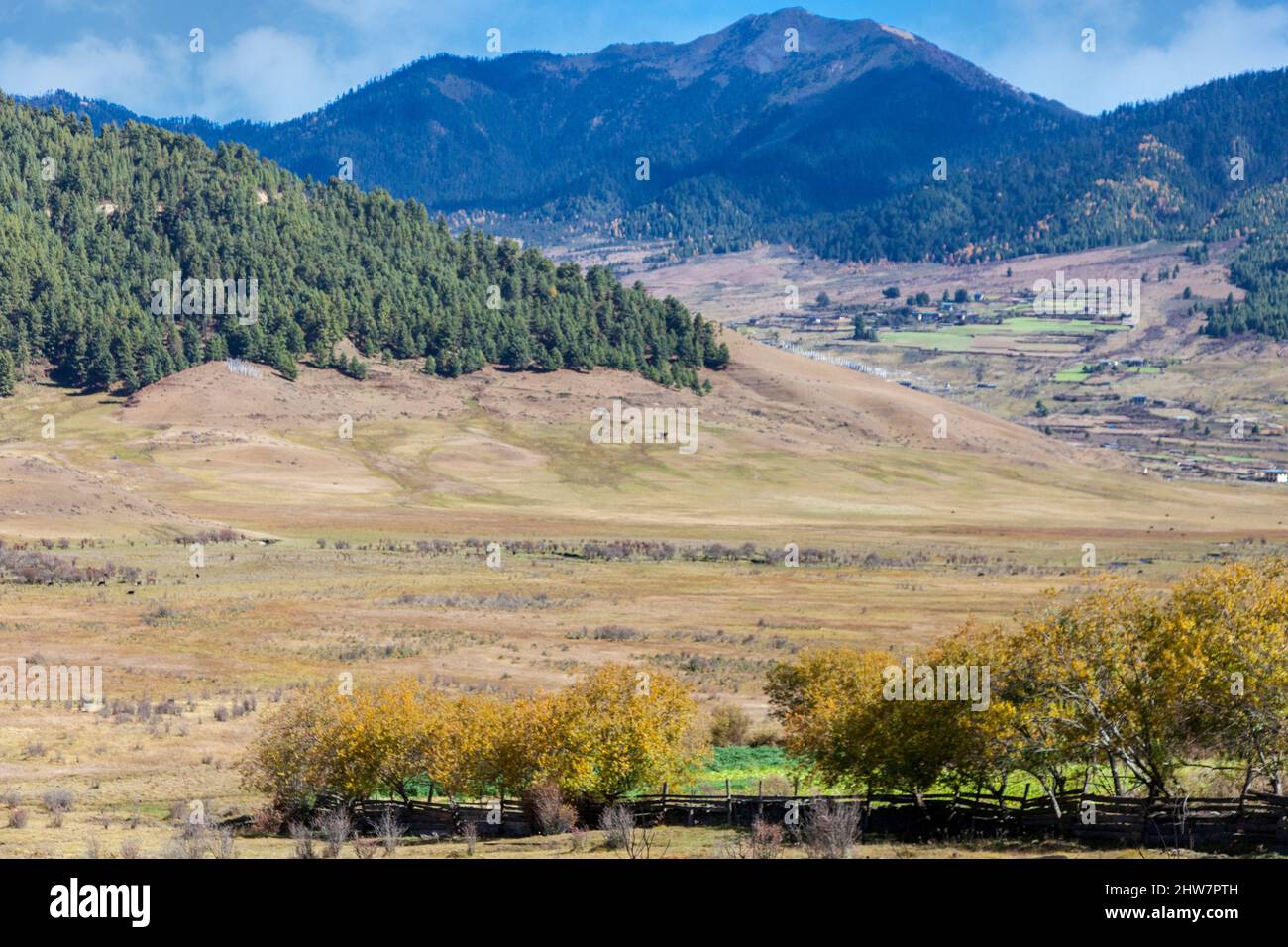 Phobjikha, Bhutan. Farmland and Settlements in Phobjikha Valley, a ...