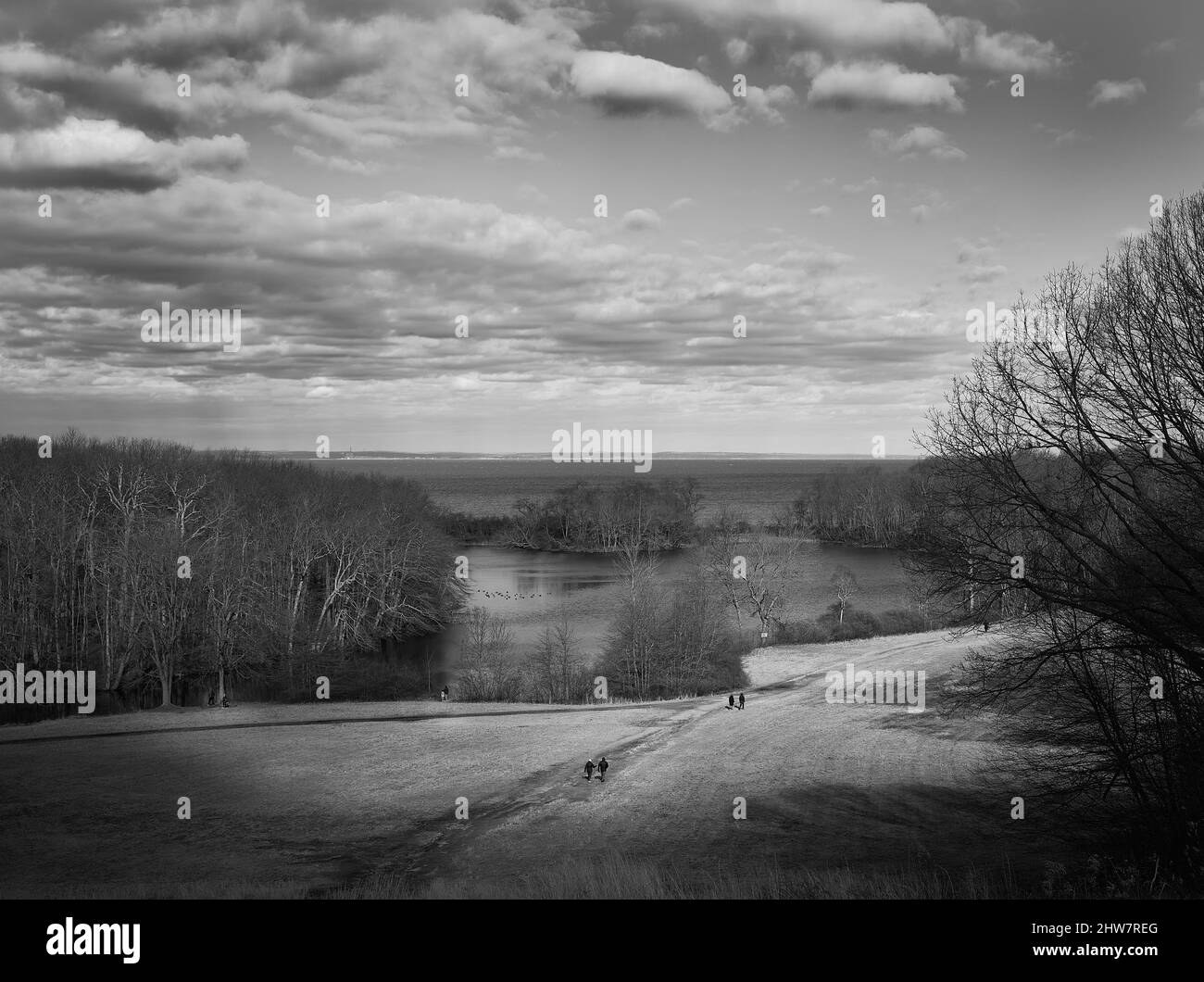 Grayscale landscape of a field Stock Photo - Alamy