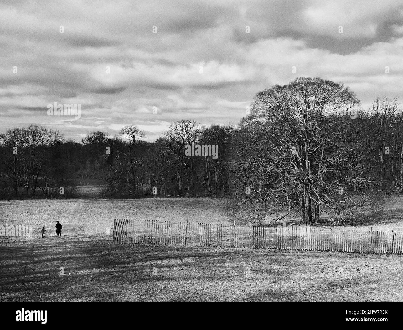 Grayscale landscape of a field Stock Photo - Alamy