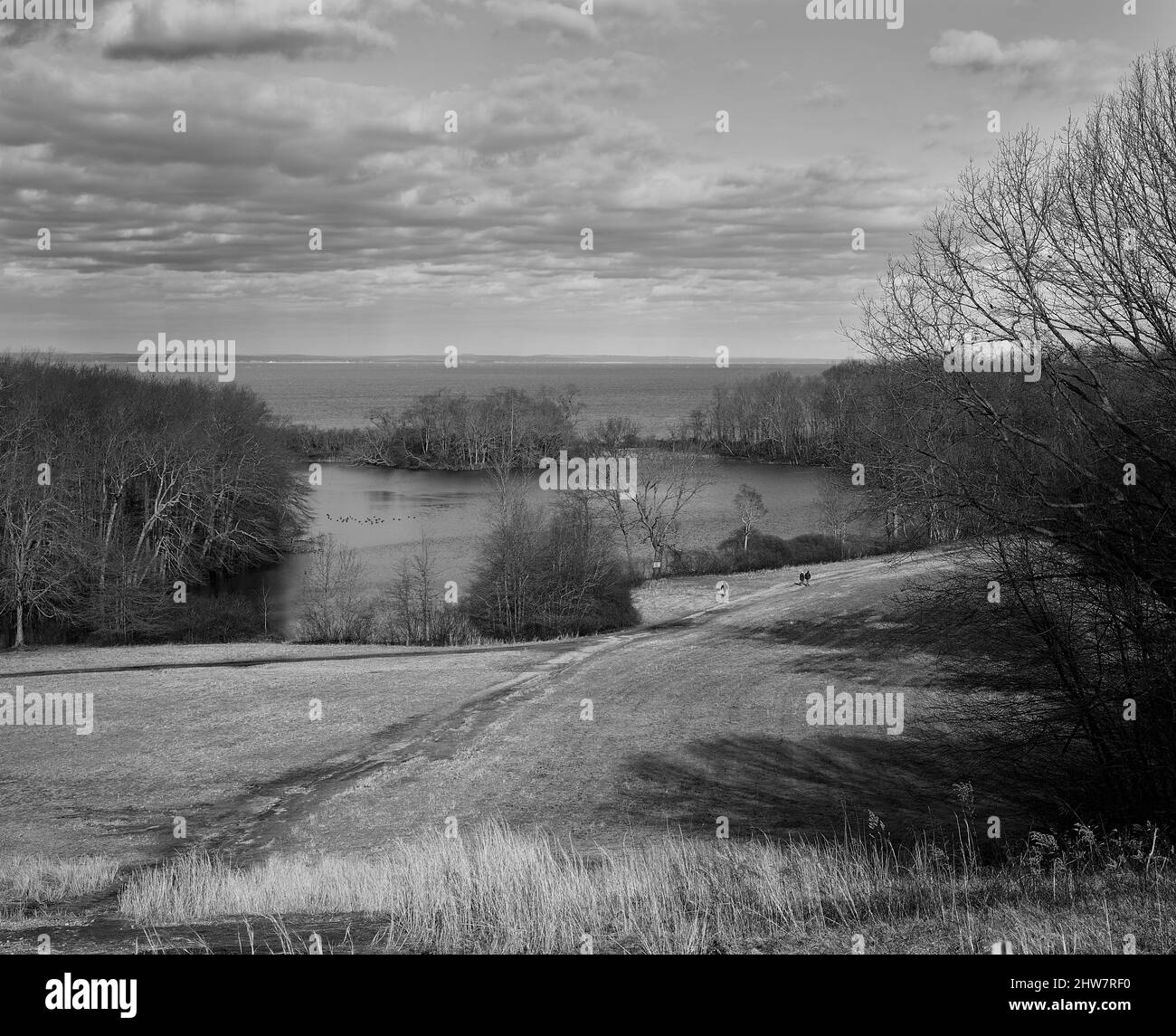 Grayscale landscape of a field Stock Photo - Alamy