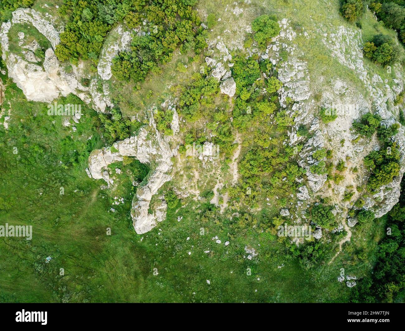 Aerial view of hills full of trees Stock Photo - Alamy