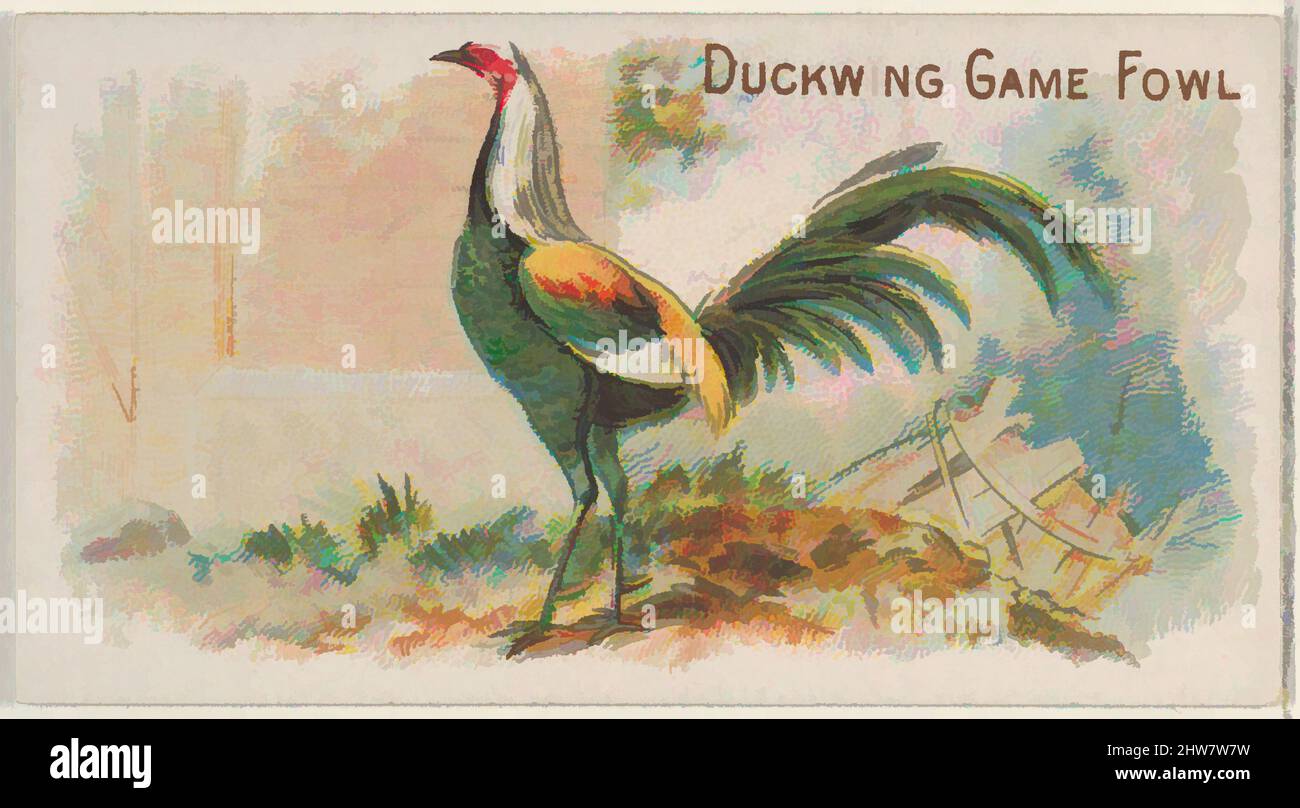 Art inspired by Duckwing Game Fowl, from the Prize and Game Chickens ...