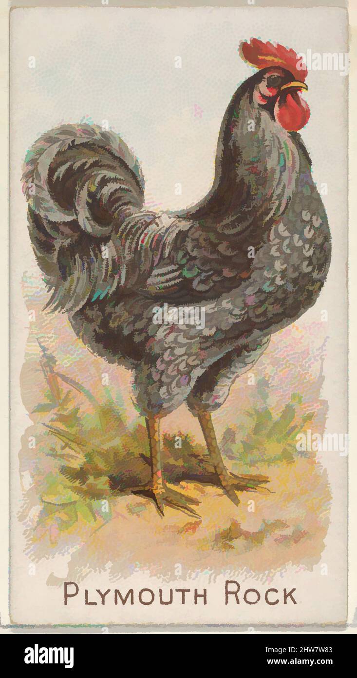 Art inspired by Plymouth Rock, from the Prize and Game Chickens series ...