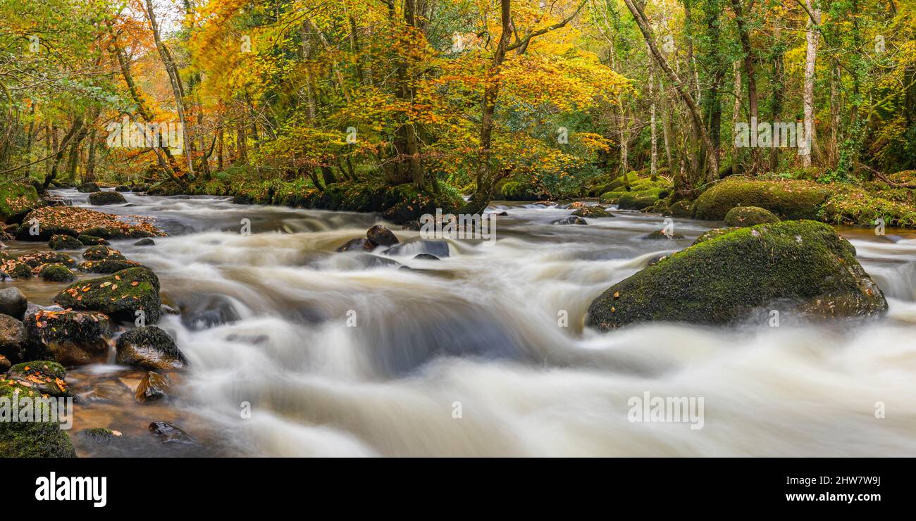 River Teign at Fingle Bridge, Dartmoor in Autumn Stock Photo - Alamy