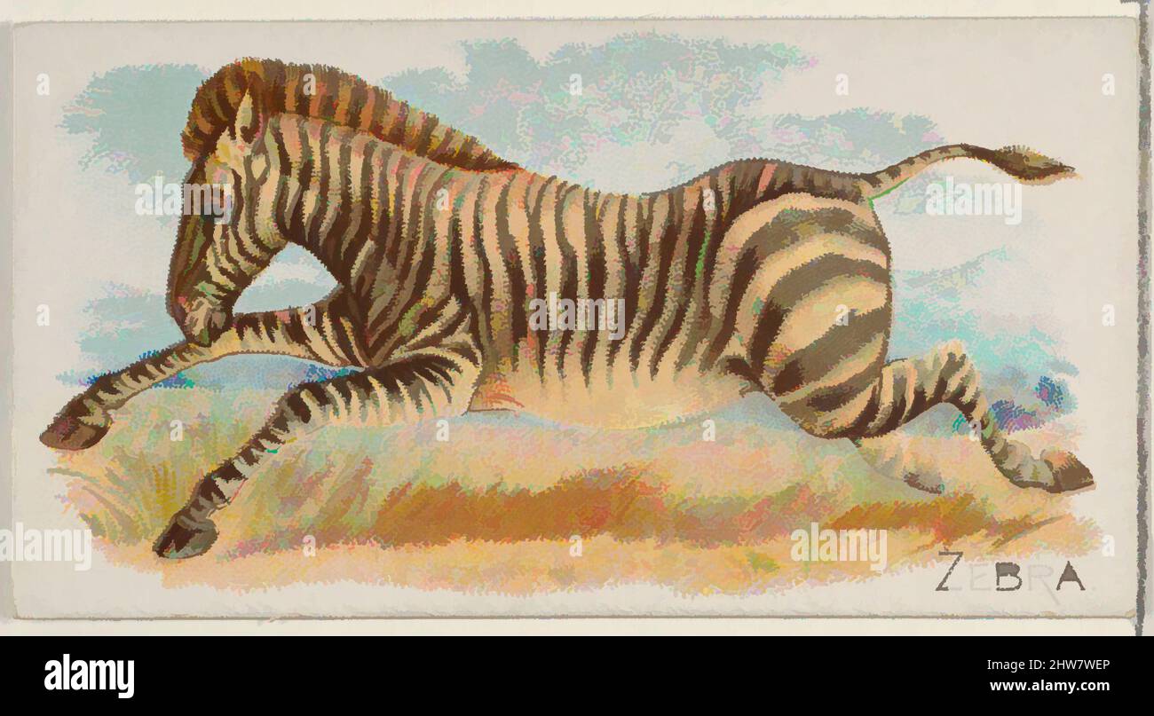 Lithograph of zebra hi-res stock photography and images - Alamy