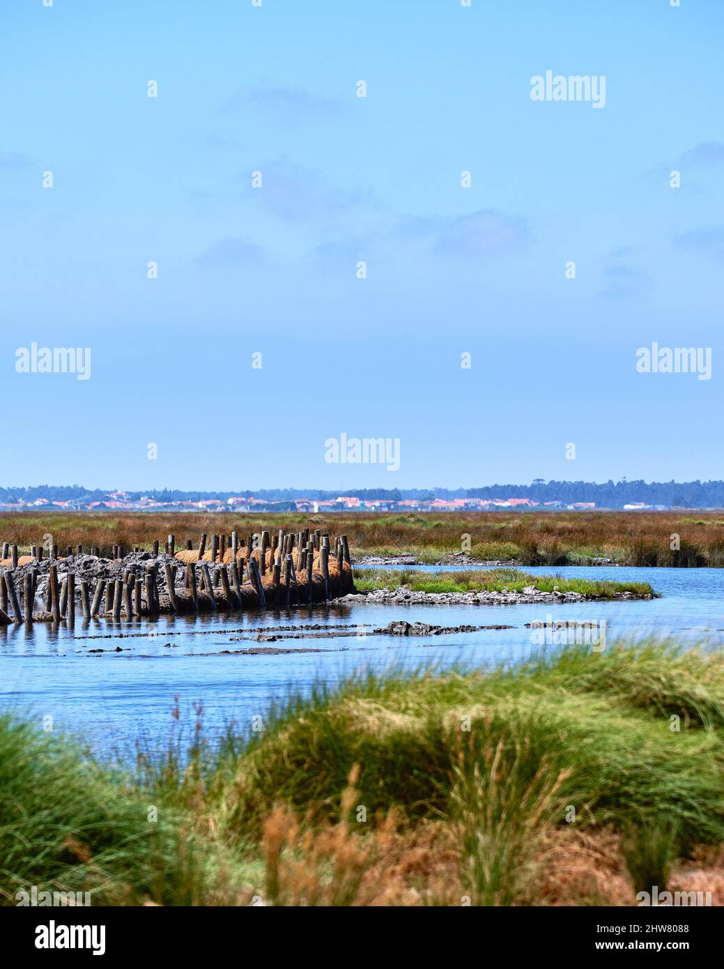 Vertical of the sand dune plants and water channels of Ria de Aveiro in ...