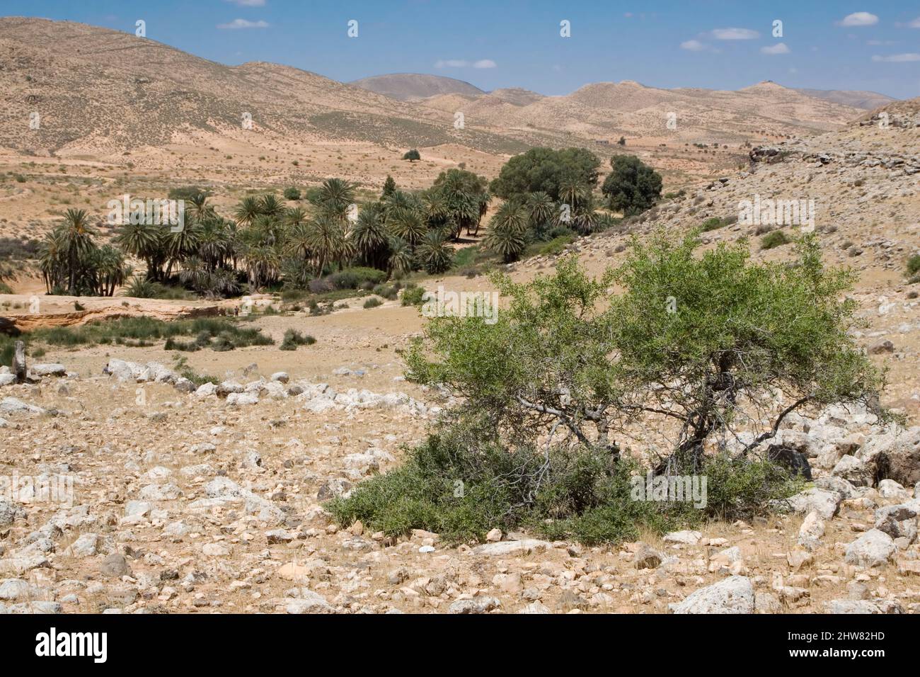 Ain Wif Oasis, Libya - Site of a Roman bath for a military outpost ...