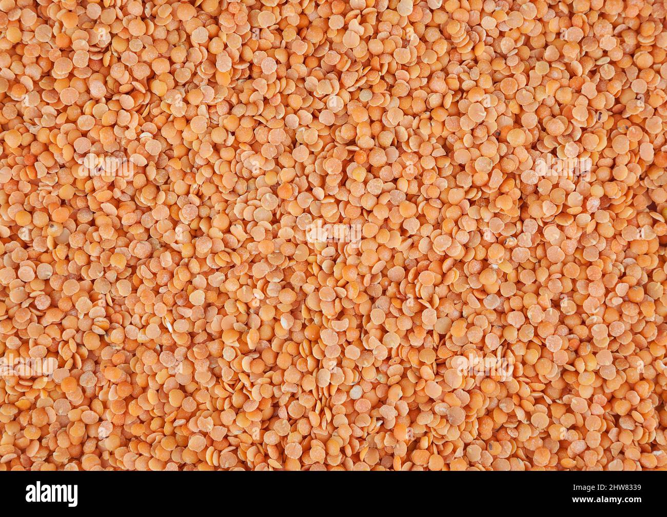 Red lentils background Stock Photo - Alamy